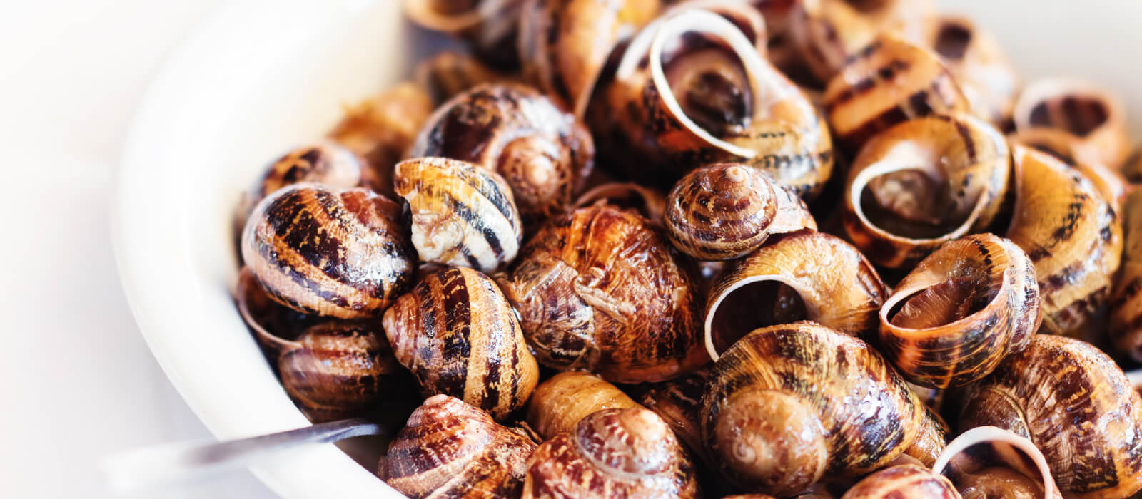 syntages-1 - Agricultural Cooperative of Chania